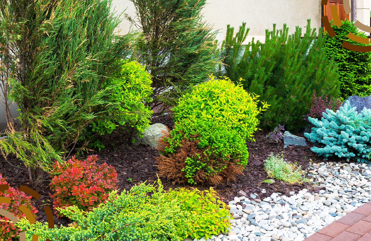 Torres Landscape And Design – Elegant And Gorgeous Outdoor Gardens